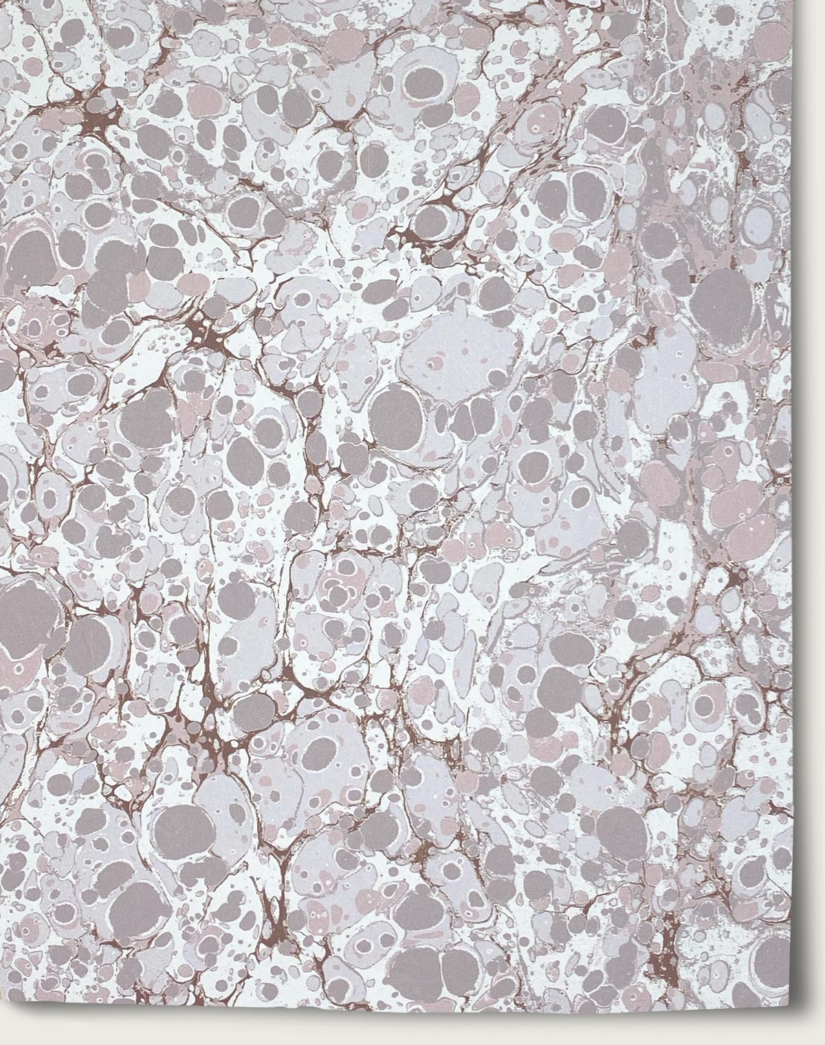 End Papers Wallpaper - The Name of the Rose – Wells Abbott | To The Trade