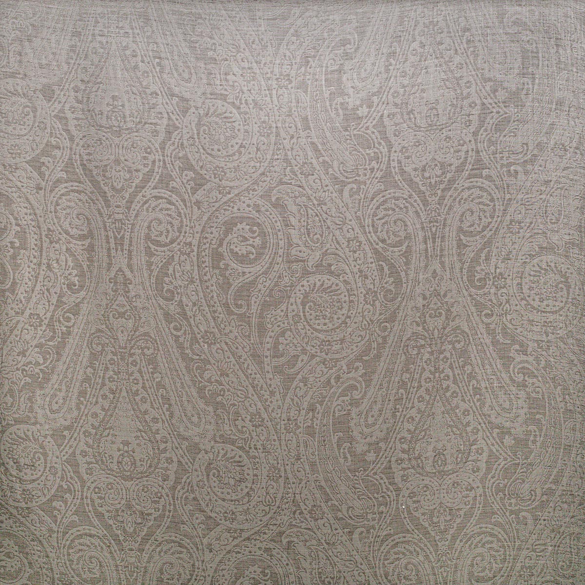 Aria - Serene – Wells Abbott | To The Trade