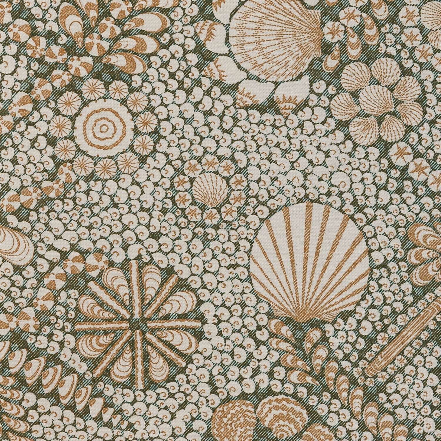 Shell Grotto - SHEL-003 – Wells Abbott | To The Trade